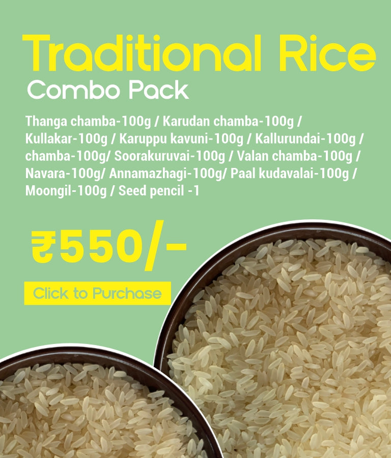 Dhanas Foods